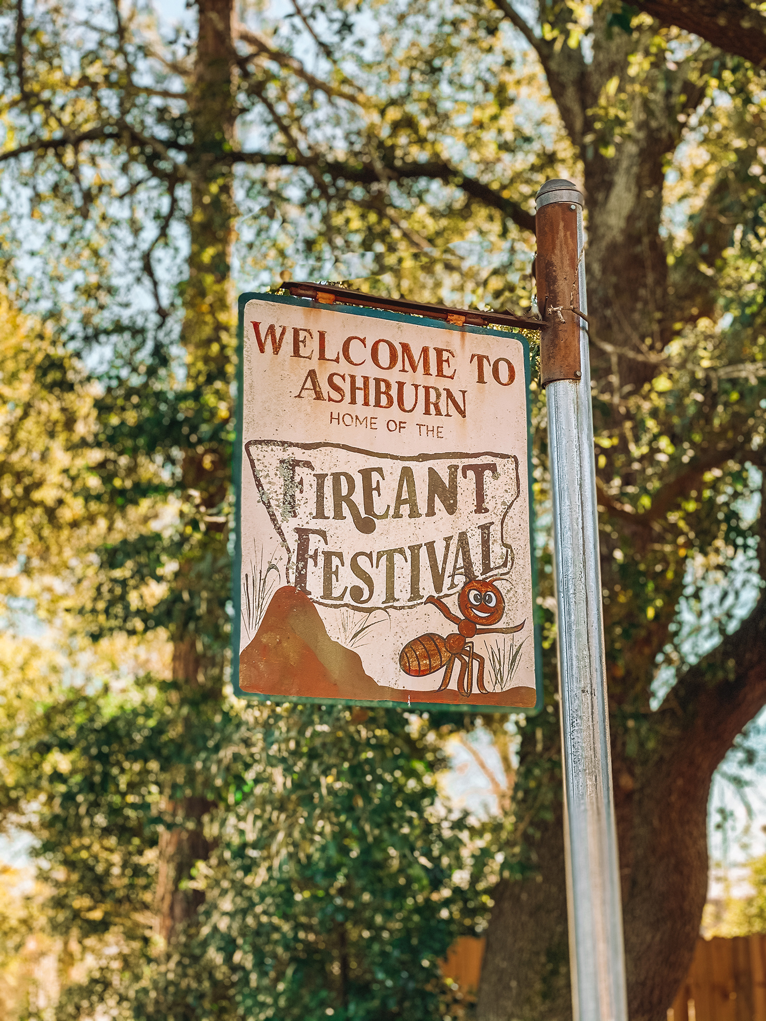 Fire Ant Festival Sign