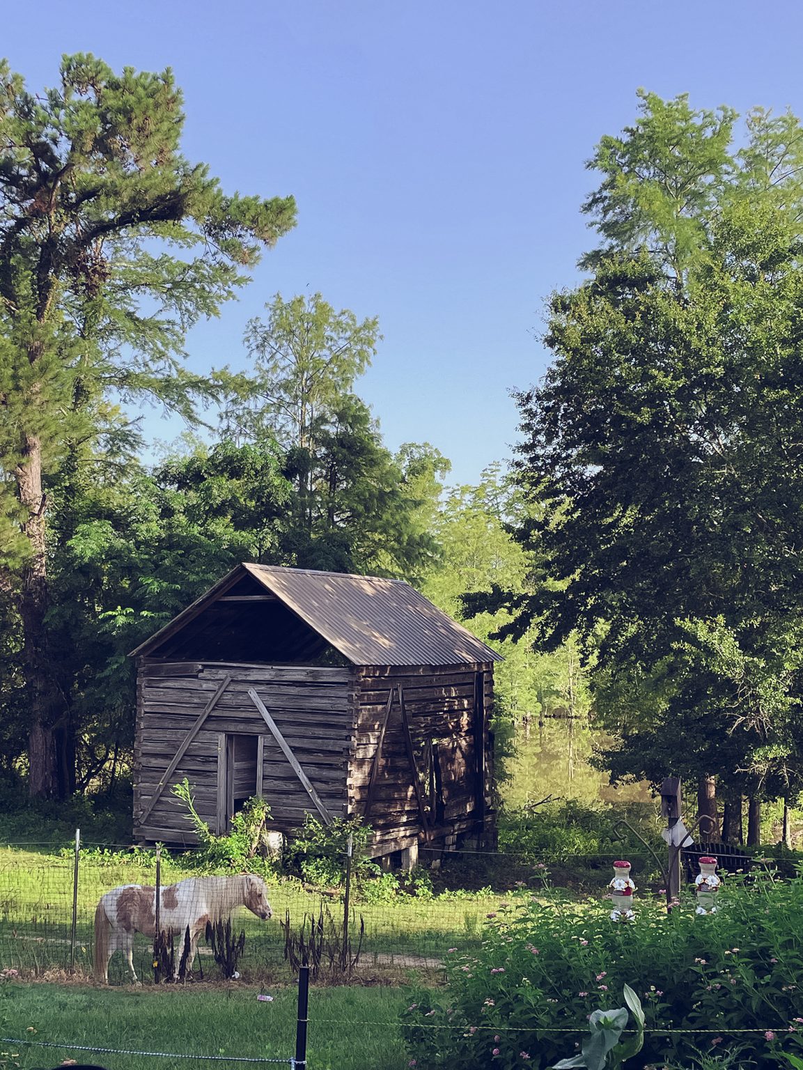 Jerry Wooten - Turner County Project