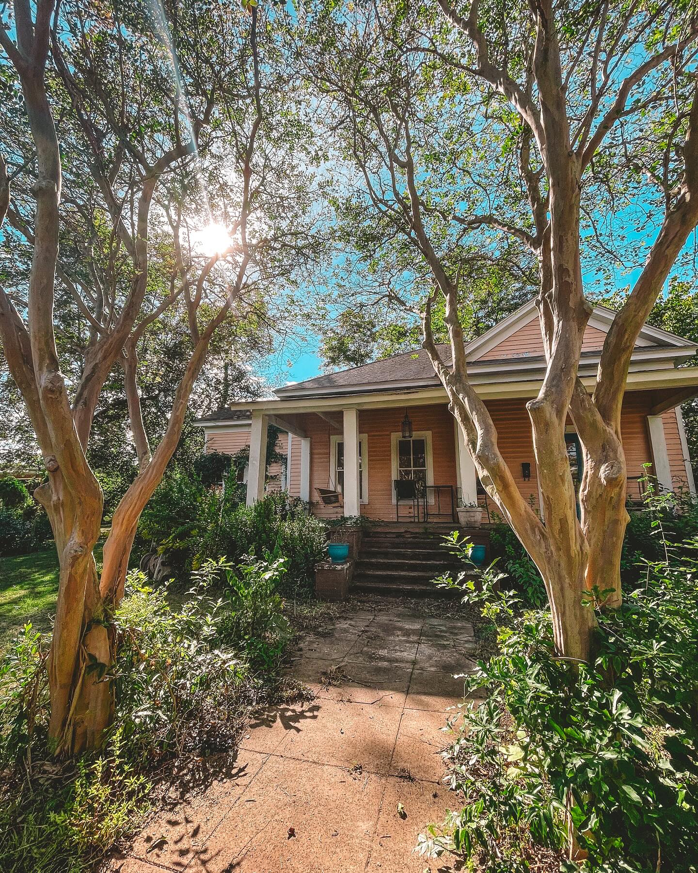 Monnie Street Peach Dream - Turner County Project