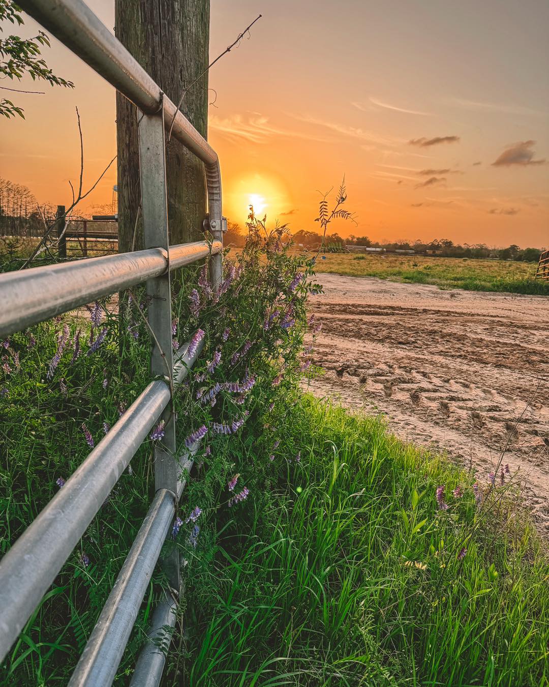 Ray Road Farm Gate