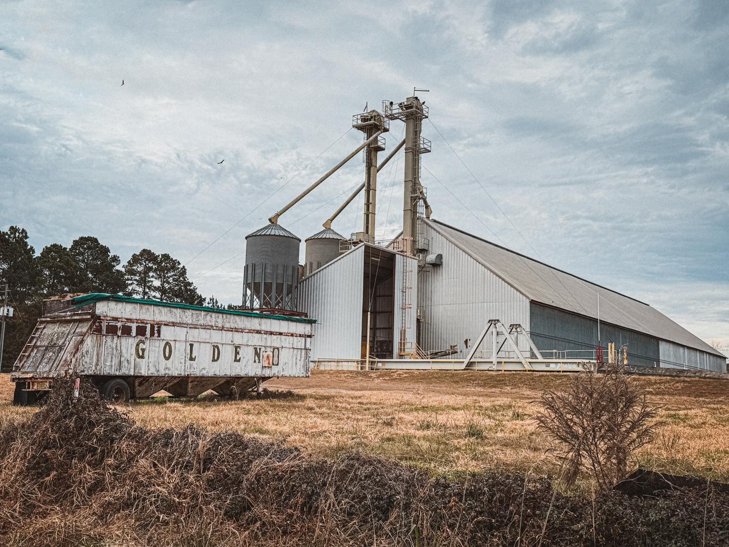 Golden Peanut - Turner County Project